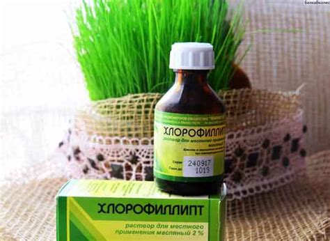 «Хлорофиллипт»: цена вопроса — копейки! 14 проверенных временем ...