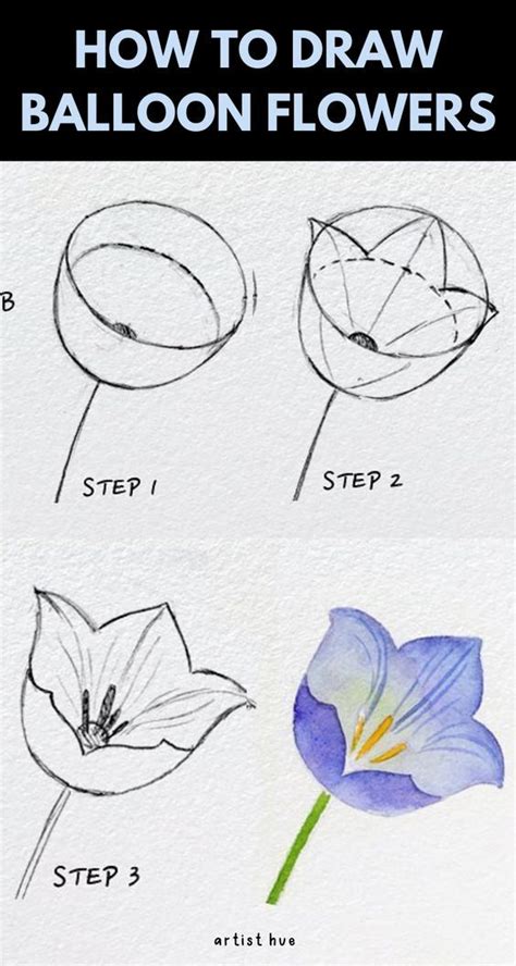 How To Draw Flowers Step By Step For Beginners How To Draw Flowers