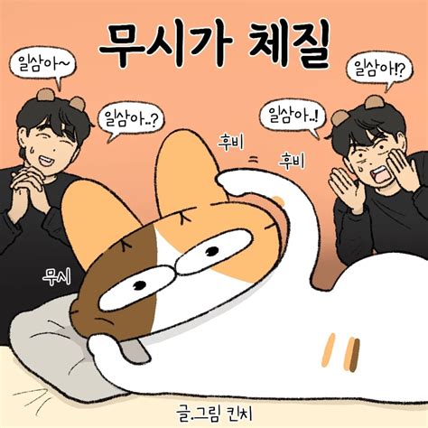 킨치와 일삼이 2월 16일 👨‍💼 사실 착순이라 아주 가끔 무시함ㅎㅎ 🐱 안 한다고는 안 함 고양이만화 고양이일기 일상툰 인스타툰 고양이 반려묘 집사