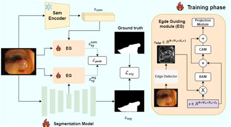 sam eg segment anything model with egde guidance framework for
