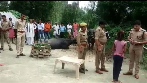 धान के खेत में पत्नी ने प्रेमी के साथ मिलकर पति का काटा गला फिर चेहरा