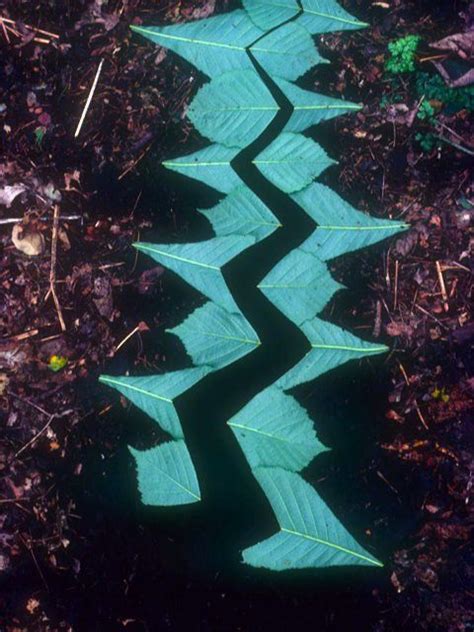 Andy Goldsworthy Leaves In River