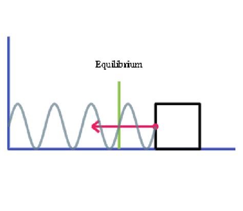 Simple Harmonic Motion Visualization 1