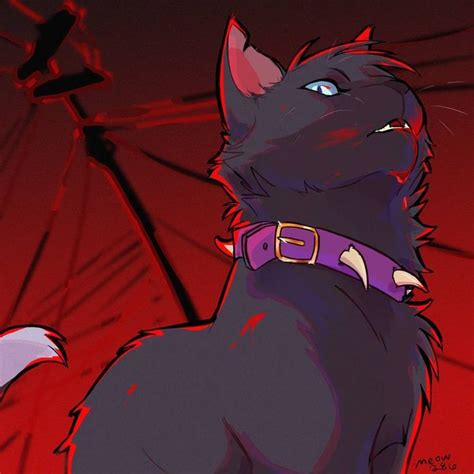 Scourge Warrior Cats Scourge Warrior Cats Warrior Cats Books