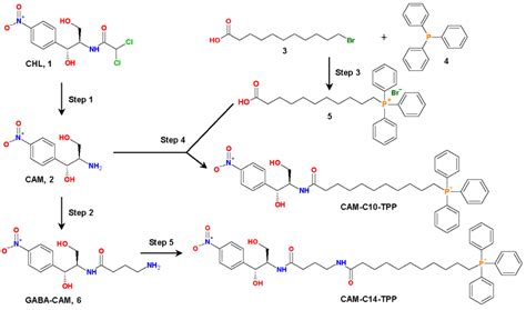 Scheme Of Chemical Synthesis Of Triphenylphosphonium Tpp Analogues Of