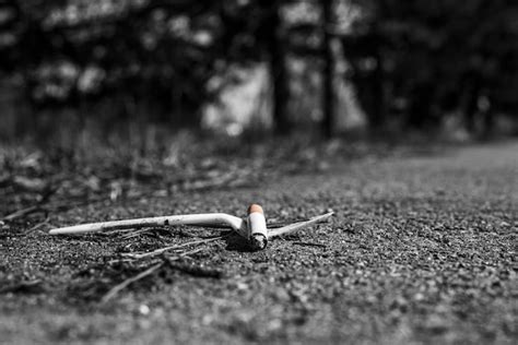 Premium Photo Surface Level Of Grass