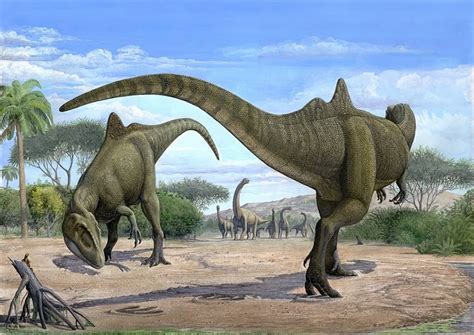 Concavenator Pictures And Facts The Dinosaur Database