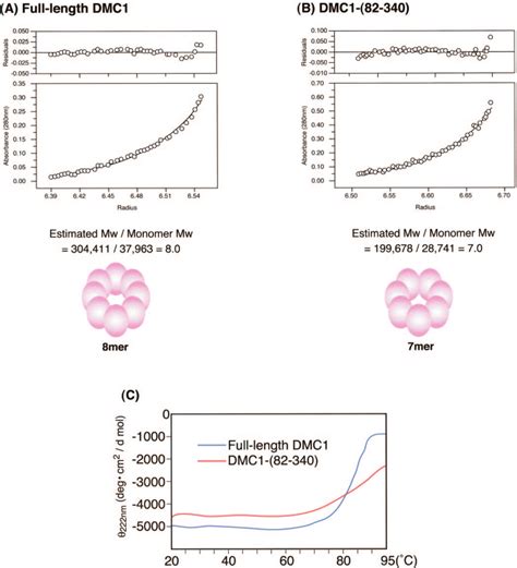 Oligomerization State And Thermal Stability Of Dmc1 82 340
