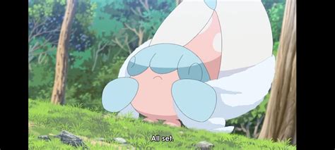 Just Watch Episode 38 And Mibrim Is Just Adorable R Pokemonanime