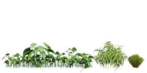 Premium Psd A White Background With A Green Plant And A White