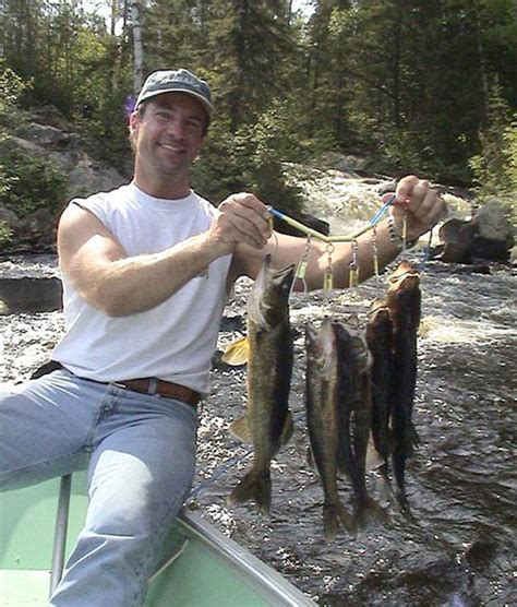 Walleye Behavior During Spawning Excellent Adventures