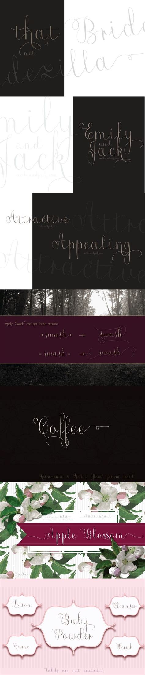 Roicamonta OTF Font Elegant Script Fonts
