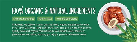 Kartago Organic Cinnamon Pecan Date Pops 5oz 2 Pack