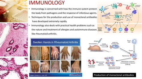 Scope Of Microbiology Ppt
