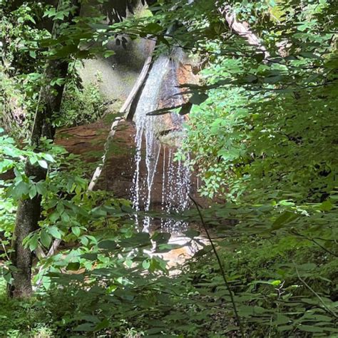 Fabulous Grand Opening Of John Knouse Trail The Athens Conservancy