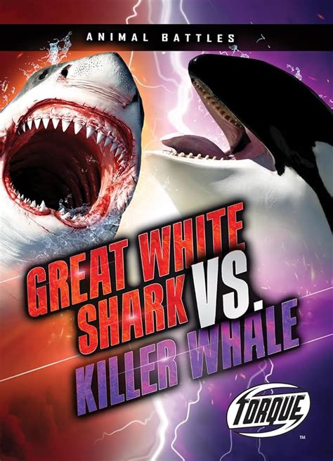 Orca Great White Sharks