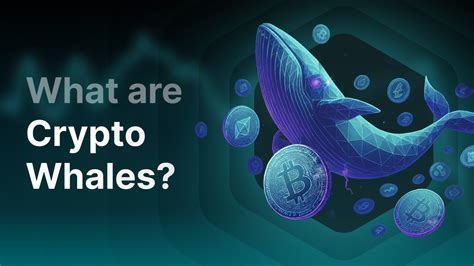 What Are Crypto Whales Crypto Academy
