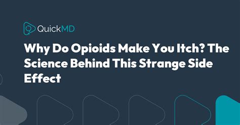 Why Do Opioids Make You Itch The Science Behind This Strange Side Effect Quickmd