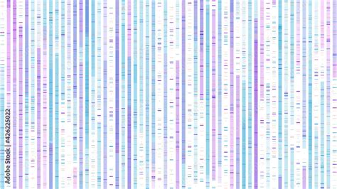 Dna Genome Sequencing The Bases Of A Fragment Of Dna For Gene Therapy