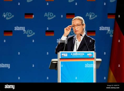 Dr Alice Weidel Waehrend Des 15 Bundesparteitag Der Afd In Der