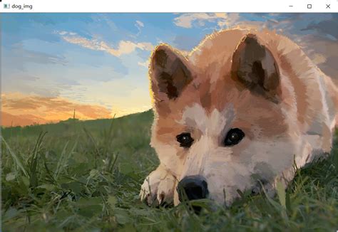 opencv中的图像运算 opencv图像运算有哪些 csdn博客