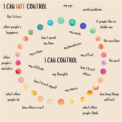Circle Of Control What I Can And Cannot Control Poster Positive