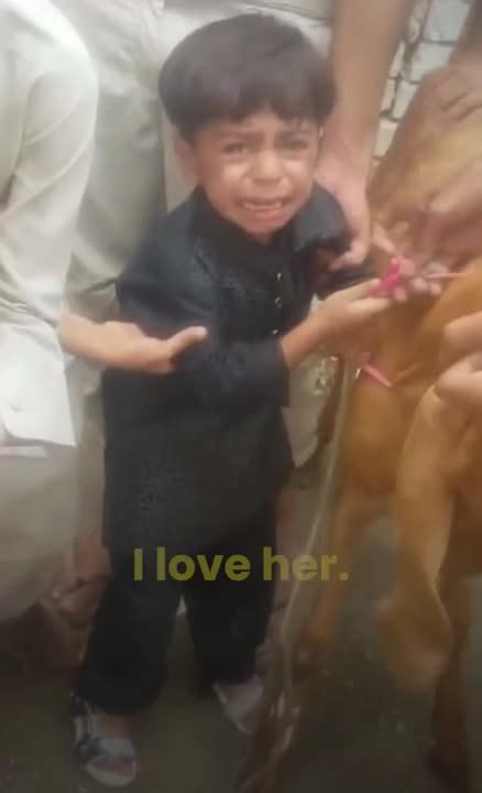 Rohit Tyagi Posted On Linkedin