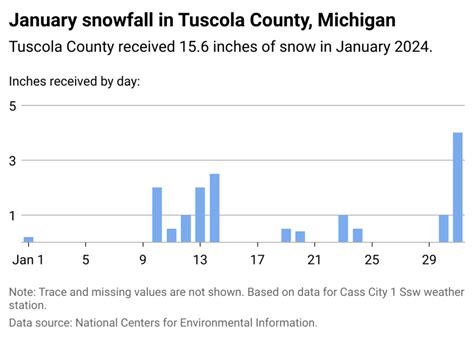 Heres How Much Snow Tuscola County Michigan Received In January Stacker