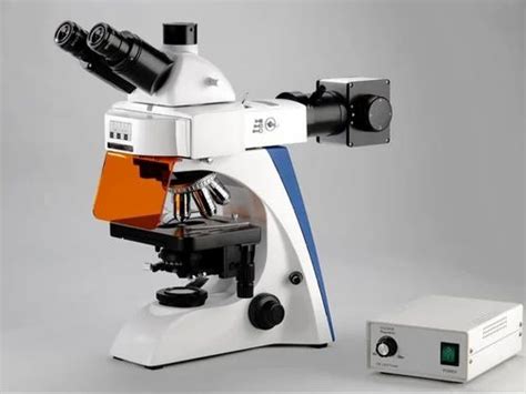 Fluorescence Stereo Microscope Magnification 100x At ₹ 550000 In