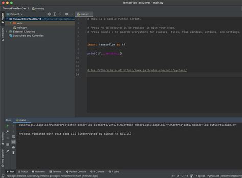 process finished with exit code 132 interrupted by signal 4 sigill