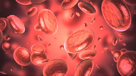 Dvt Treatment Nursing Ce Central