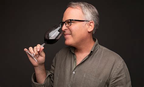 Masterclassninja Domain Owner Whois And Analysis