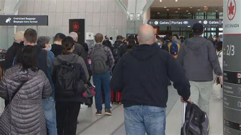 Julia Knope Web Writer Cbc