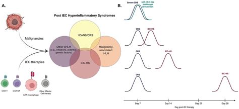 Understanding Immune Effector Cell Associated Hemophagocytic