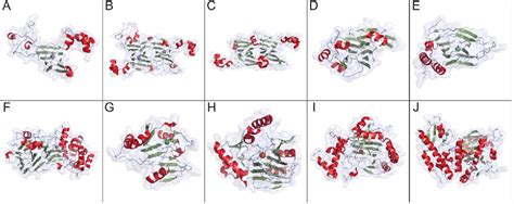 figure 1 from protein similarity networks reveal relationships among