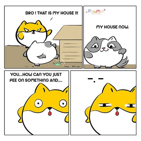 Pawgie And Meoty Paw Meo