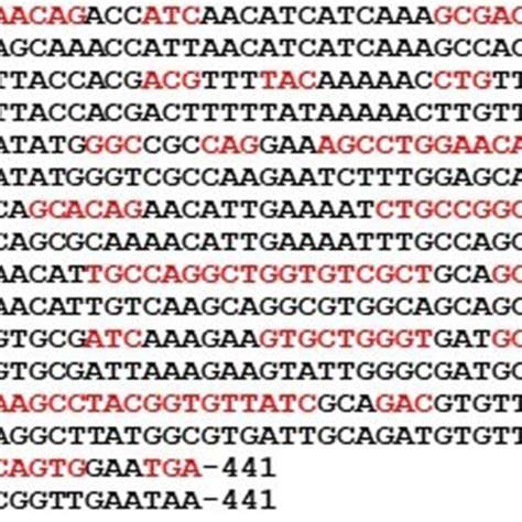 comparison of the native and codon optimized sequence for e coli of