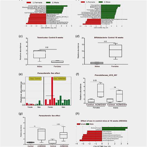 Microbiota Abundance Are Sex Dependent A B Lefse Analysis Of