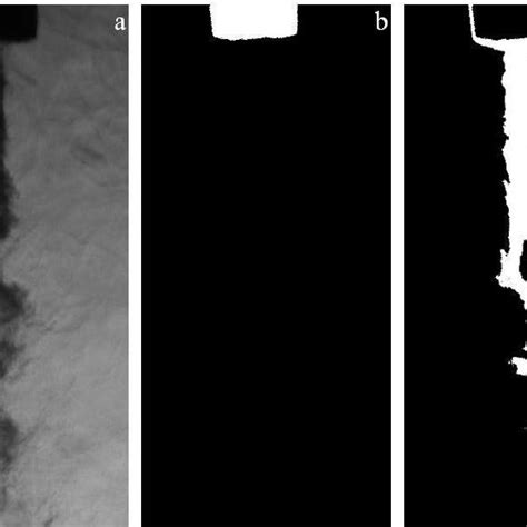 Consecutive Frames From Download Scientific Diagram