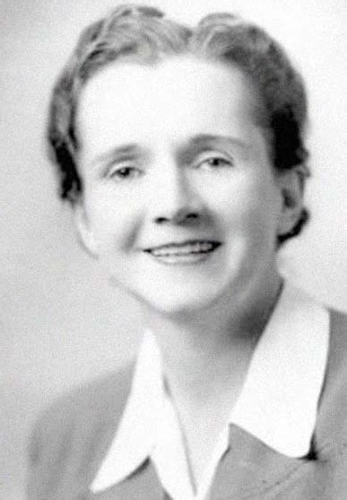 蕾切尔·卡逊图册360百科