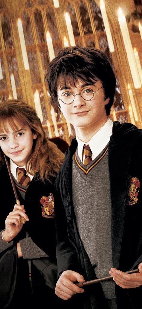 Harry Potter Wallpaper Harry Ron And Hermione At Jim Roebuck Blog