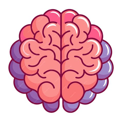 Human Brain Clip Art And Vector Design With A White Background