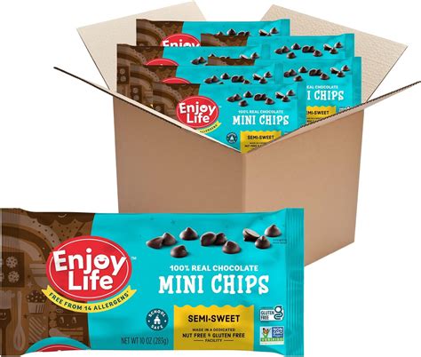 Enjoy Life Semi Sweet Mini Chocolate Chips Baking