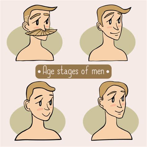 150 Man Aging Age Human Life Young Growing Old Process Stage Stock
