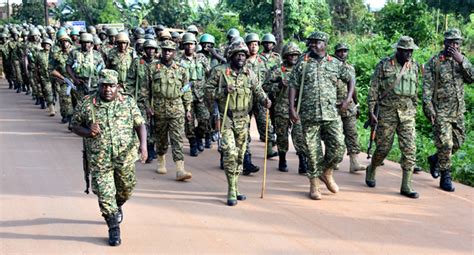 Services UPDF