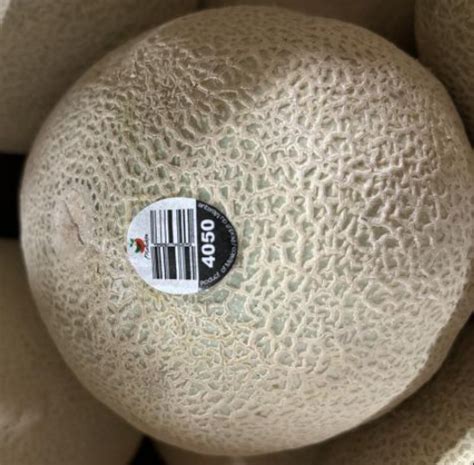 Bioexpert Across Canada Malichita Cantaloupes Were Recalled Due To