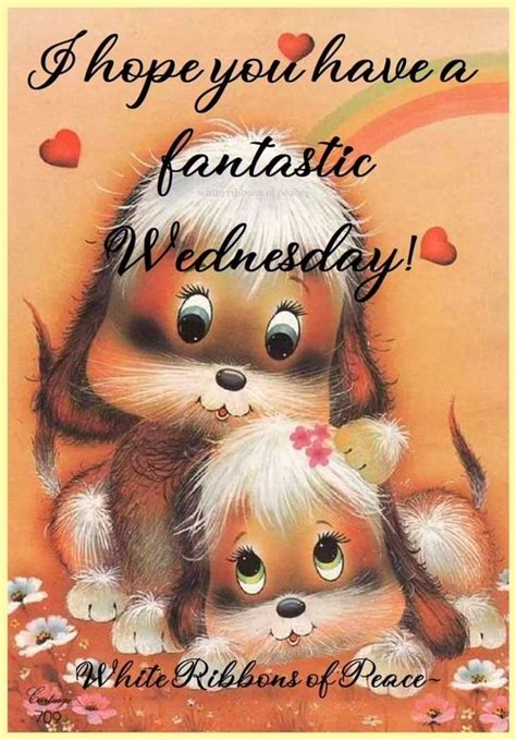 700 Wednesday Ideas In 2025 Happy Wednesday Good Morning Wednesday