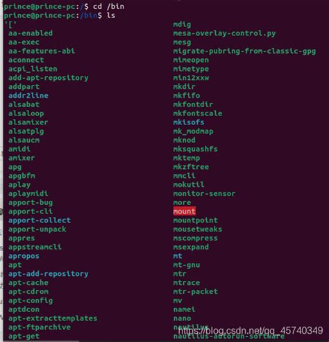 操作系统实验报告（四）文件系统操作系统实验报告文件系统的调用 、浏览linux系统根目录下的子目录熟悉每个目录 Csdn博客