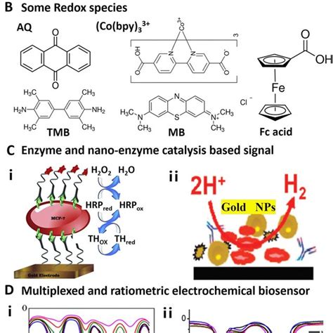 Schematic Diagram Of Electrochemical Signal Amplification Strategies