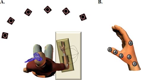 An Acute Session Of Motor Imagery Training Induces Use Dependent